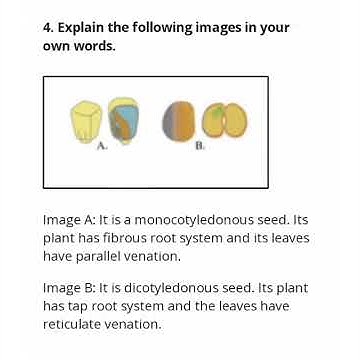 class 7 • science chapter 2 • Plants : structure and function • question answers • - YouTube