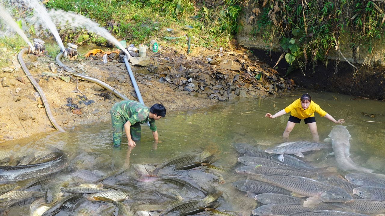 Do you believe it? Use 3 pumps to drain the stream and catch fish ...