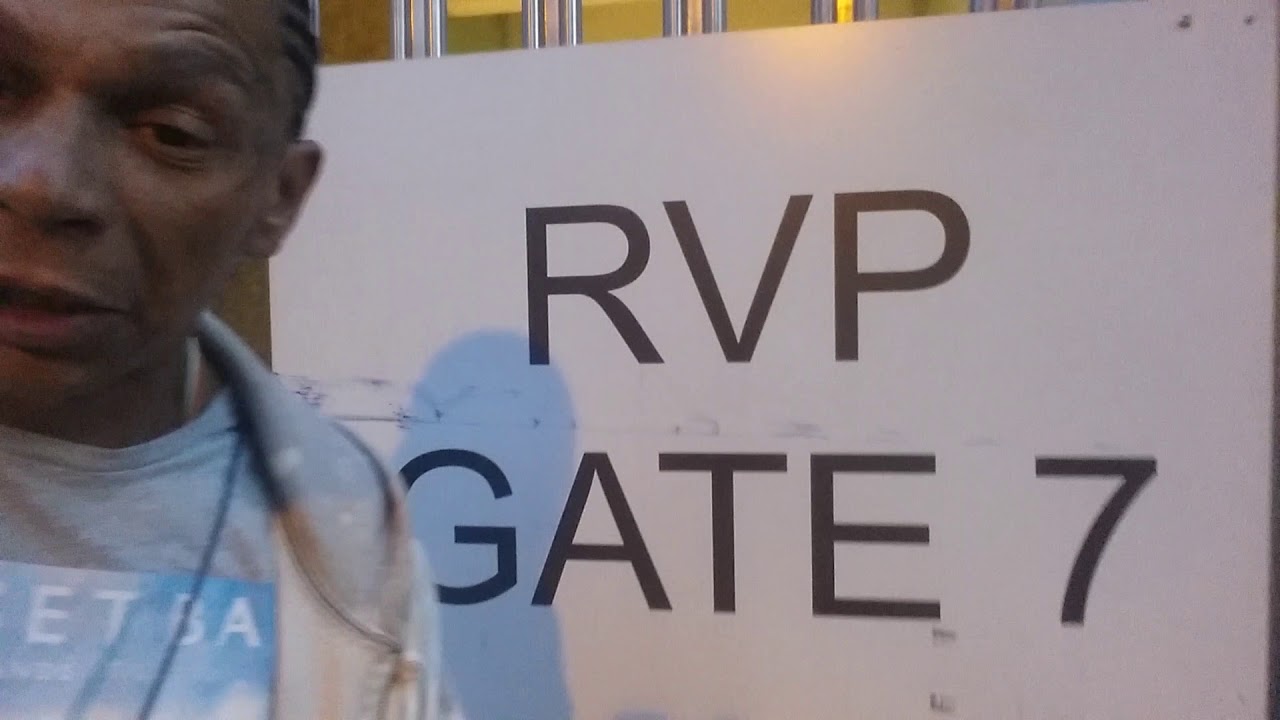 Part 3 Tring to find the pigeon gang leader - YouTube