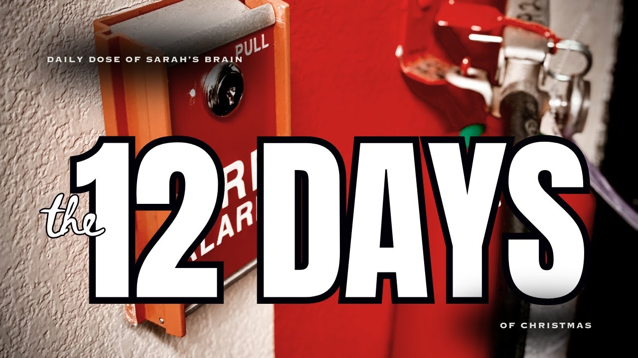 12 DAYS OF CHRISTMAS | Daily Dose of Sarah's Brain Ep. 4 - YouTube