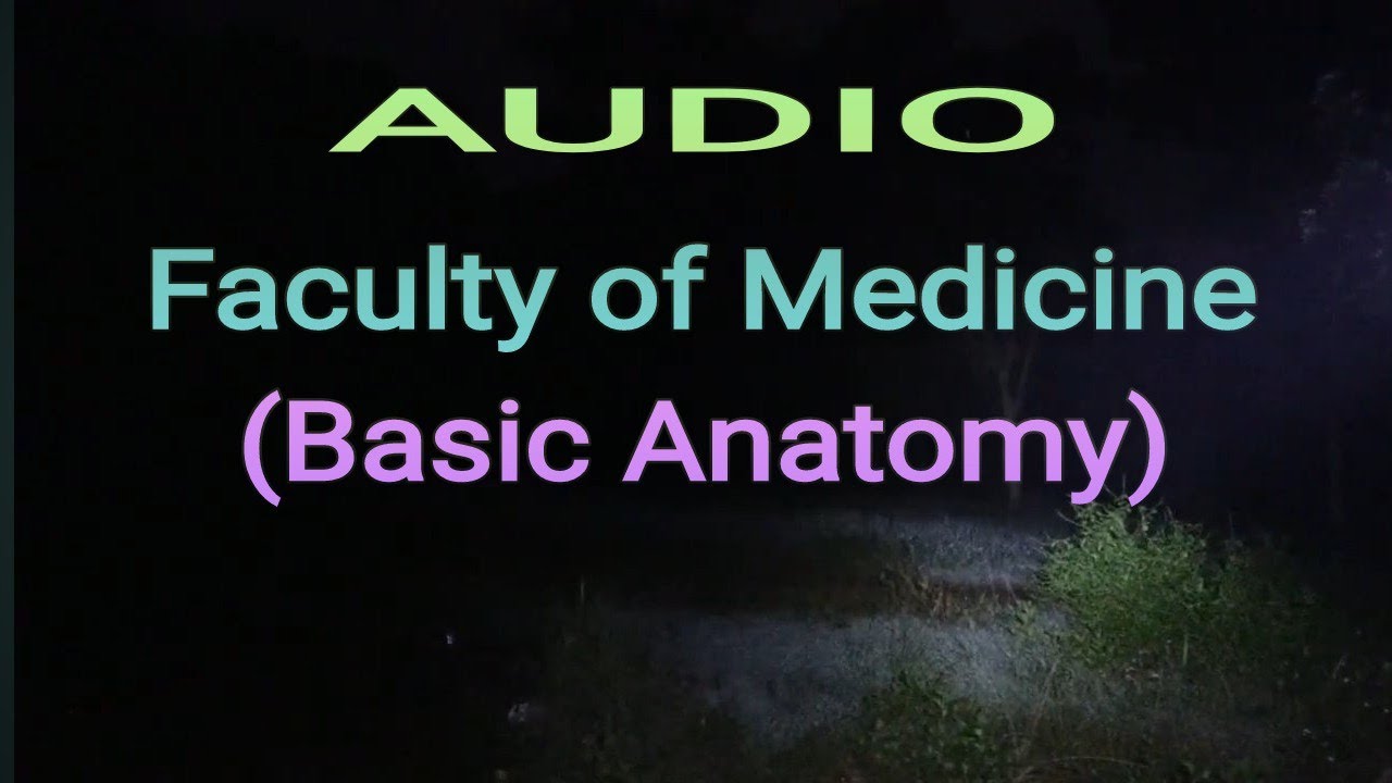 AUDIO: Basic Anatomy: Digestive Systems - YouTube
