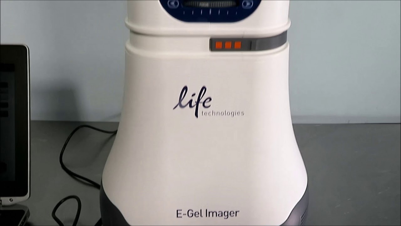 Life Technologies E Gel Imager - YouTube