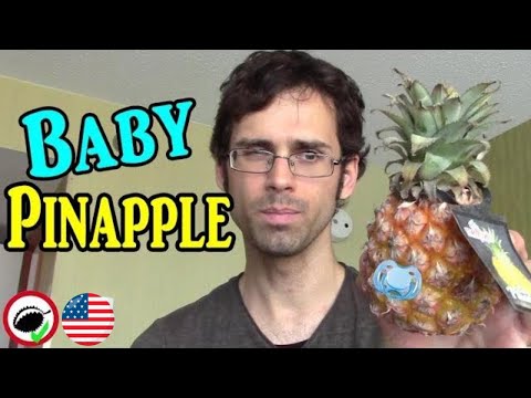 Baby Pineapple Review - Weird Fruit Explorer Ep. 326