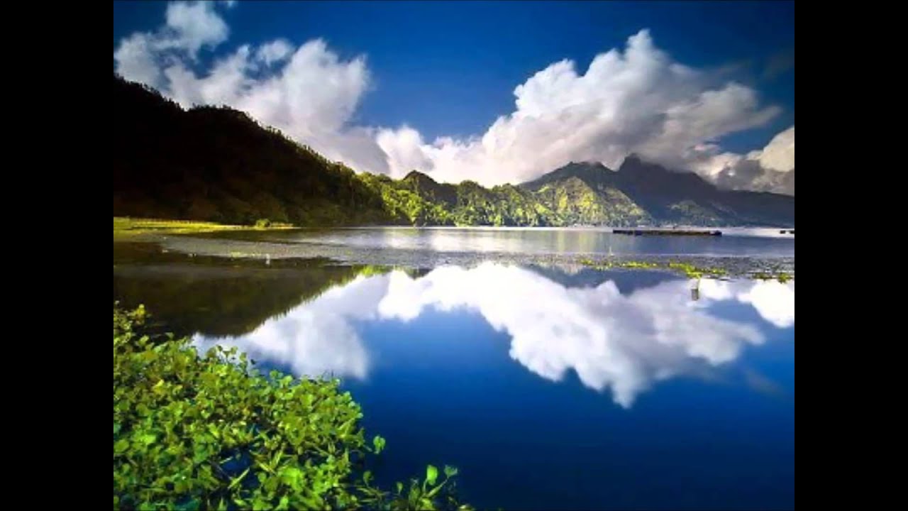 Bran Van 3000- Predictable - YouTube