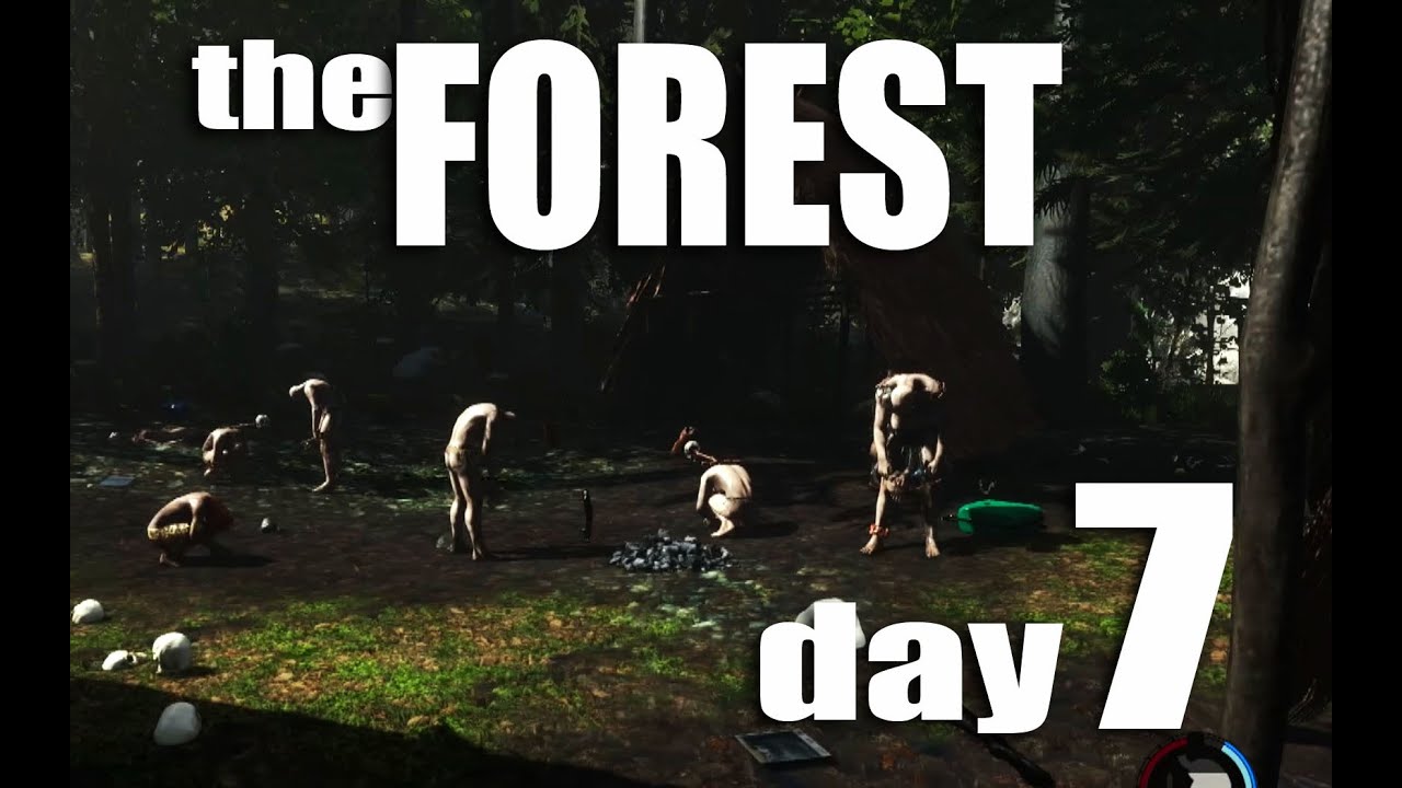 the Forest day 7 - YouTube