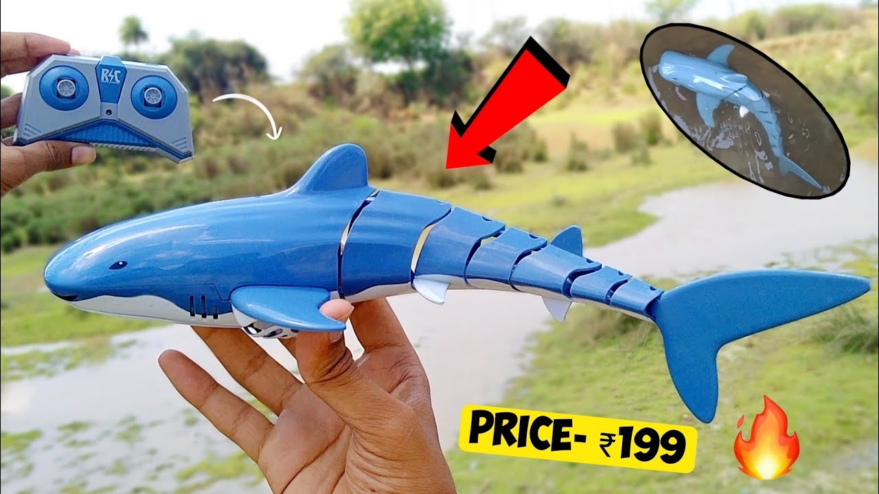 Remote Control Shark Fish Unboxing | rc shark | Remote Control Shark ...