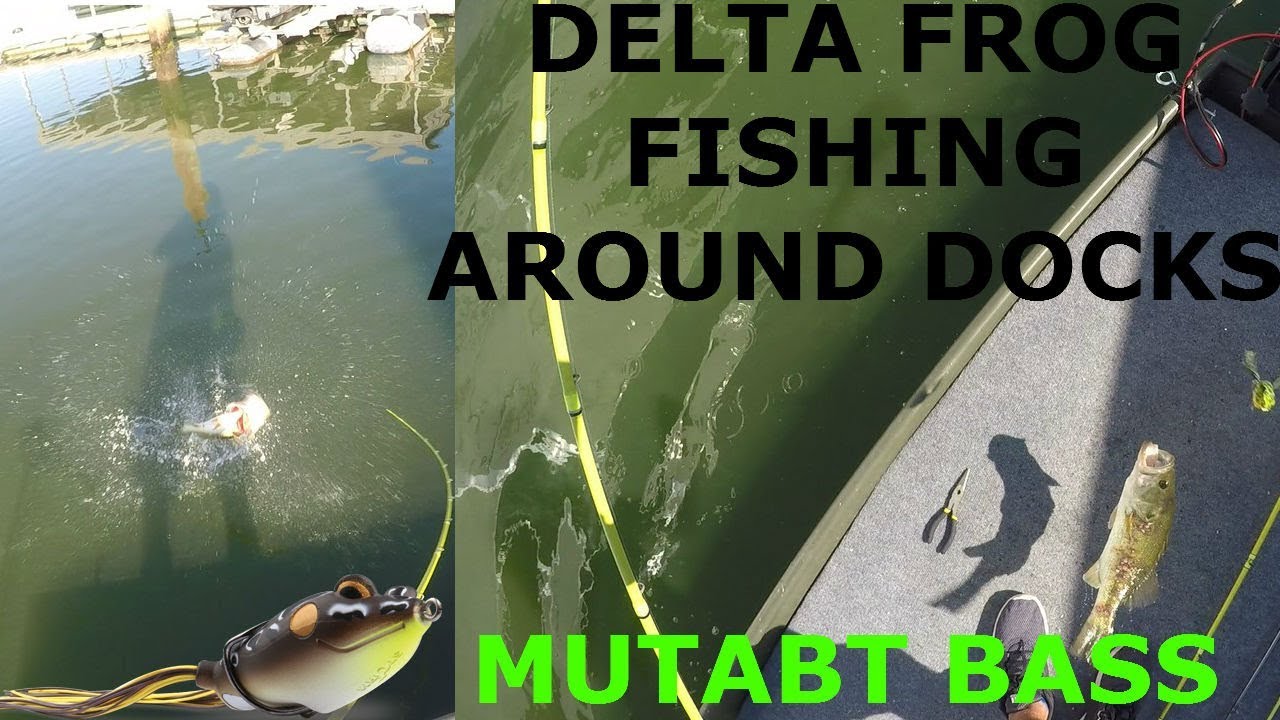 DISCOVERY BAY - FROG FISHING AND FLIPPING DOCKS - STRIPER - YouTube