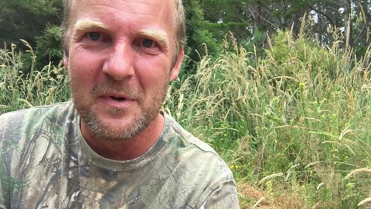 Living in the NZ Bush day 1 shelter - YouTube