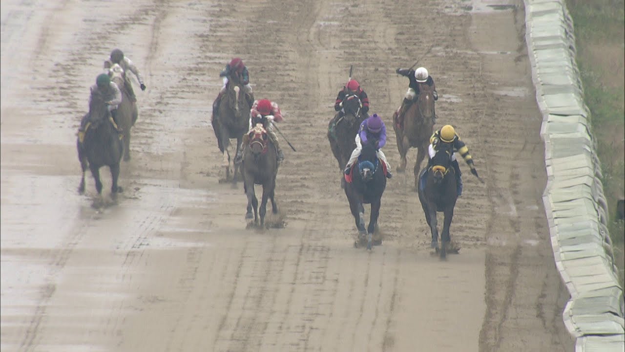 Thistledown Race: #4 2020/10/20 - YouTube