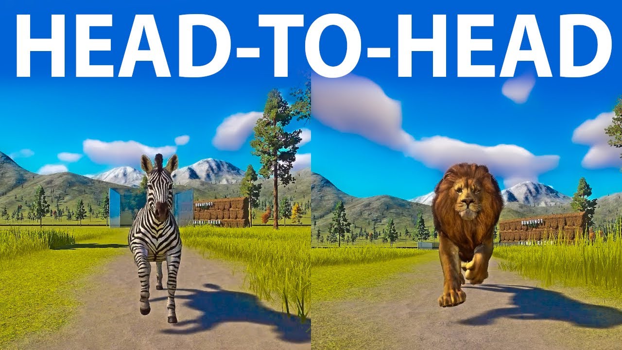 Lion vs Zebra A Head to Head Speed Race in Planet Zoo - YouTube