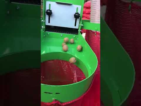 Kadıoğlu Boş-Çürük Ceviz Ayırma Makinesi Boost 1900Z Modeli