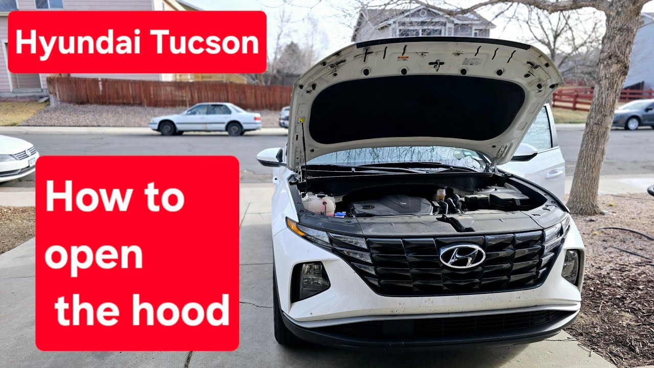 Hyundai Tucson - How to open the hood and add washer fluid 2022 - 2025 ...
