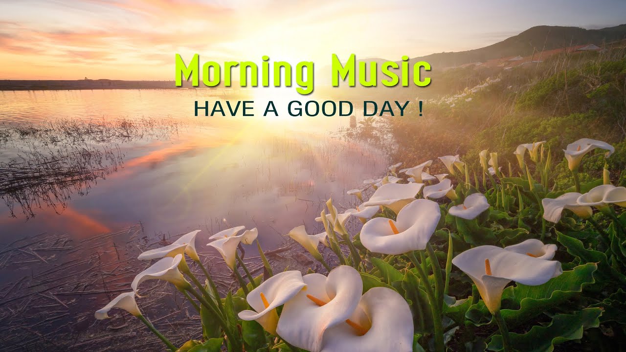 GOOD MORNING MUSIC - Fresh Positive Feelings & Stress Relief -Relaxing ...