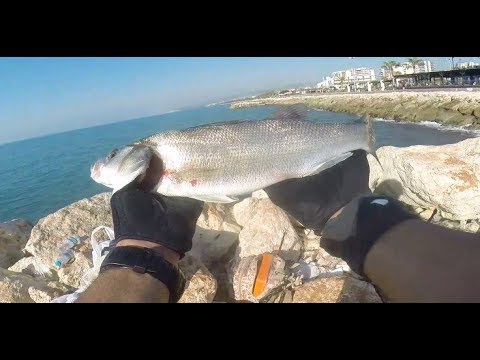 Levrek Avı, Karakulak Avı, Tral Avı, kalama sesi ne derseniz deyin...