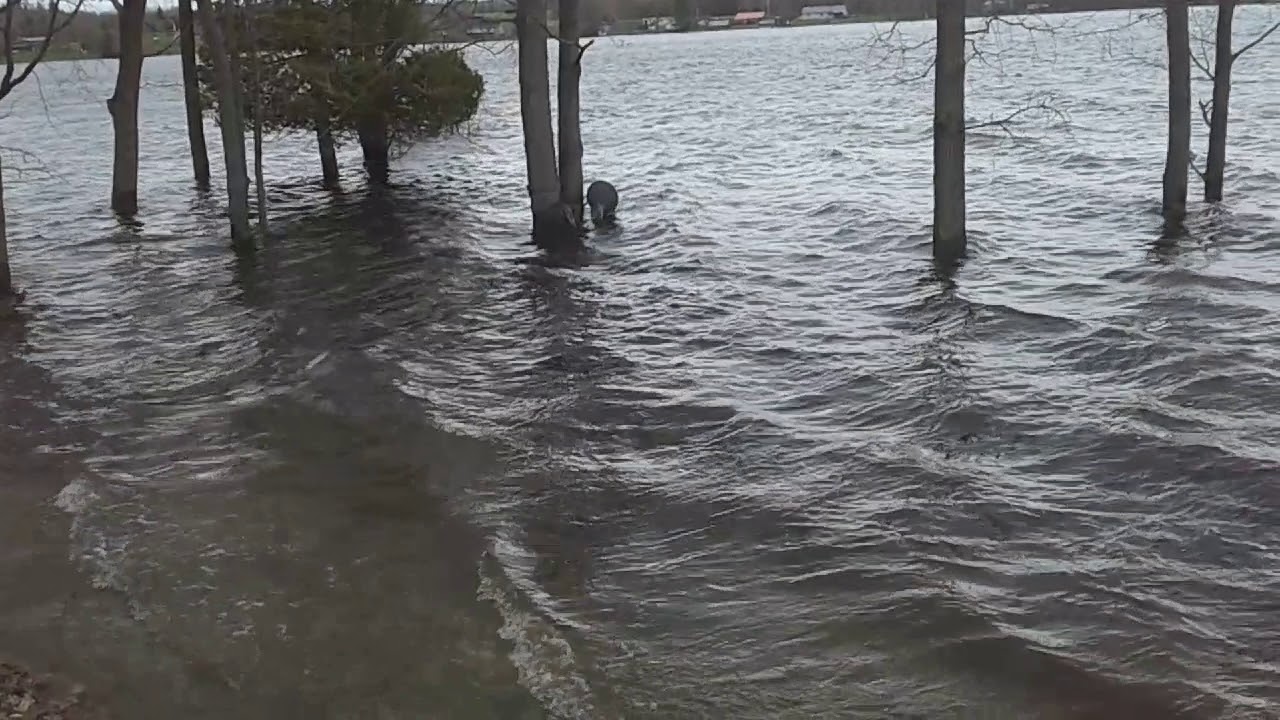 Ottawa River Flood caused by OPG 2019 - YouTube