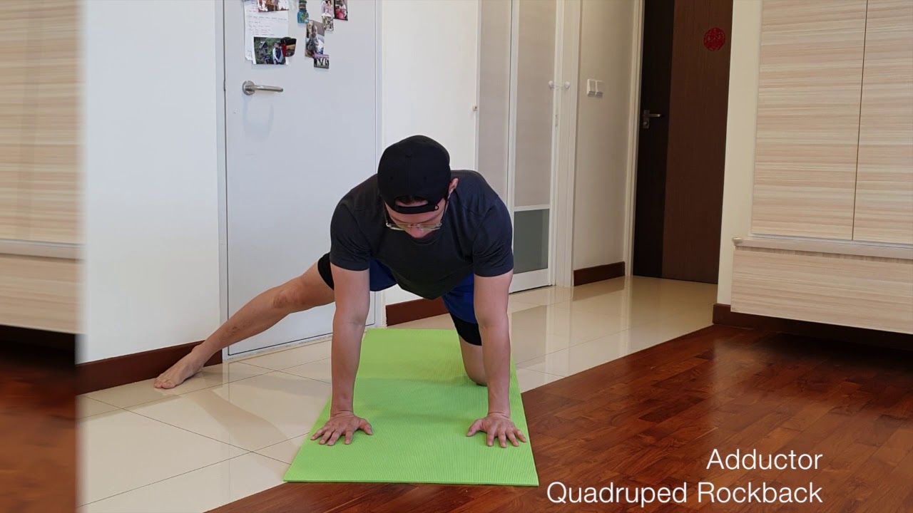 Adductor Quadruped Rockback - YouTube