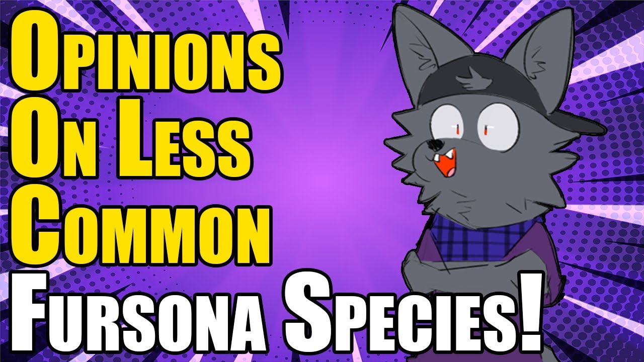Giving My Honest Opinion On 14 Less Common Fursona Species - My First ...