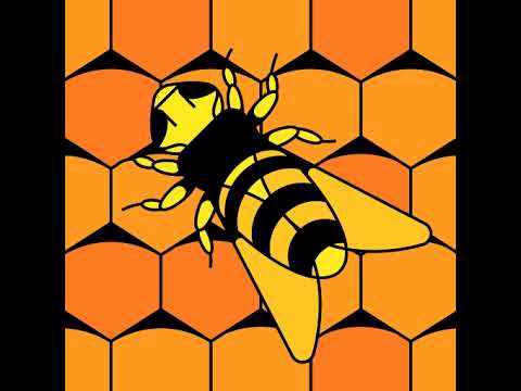 Stream em direto de Mikey bee - YouTube