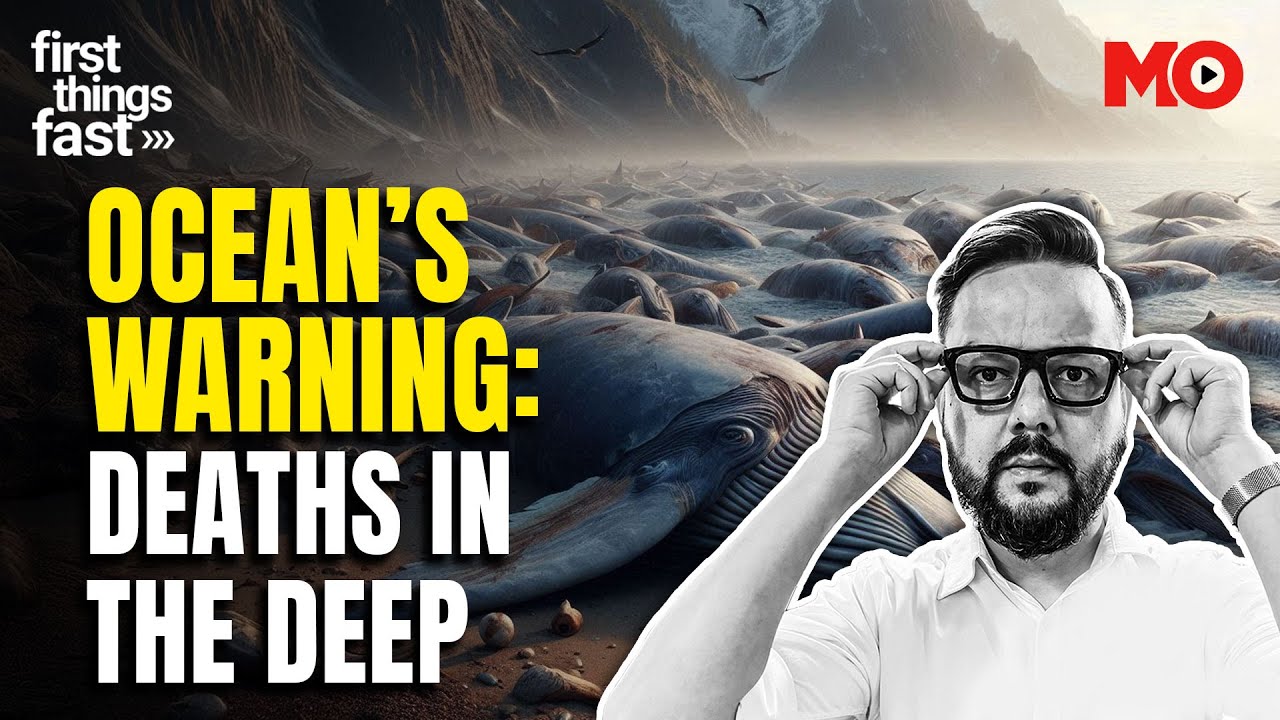Ocean’s Warning: Mysterious Marine Deaths Worldwide - YouTube