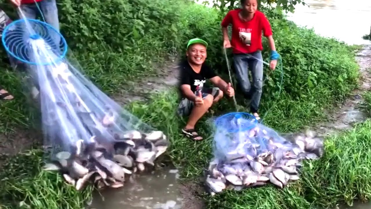 Easy fishing with new technology nets - Best Net Fishing Video - YouTube