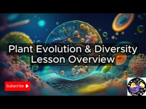 Plant Evolution & Diversity - Lesson Overview Key Concepts Discussion ...