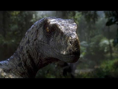 Velociraptor - Einer Der Intelligentesten Dinosaurier Aller Zeiten / Dokumentation