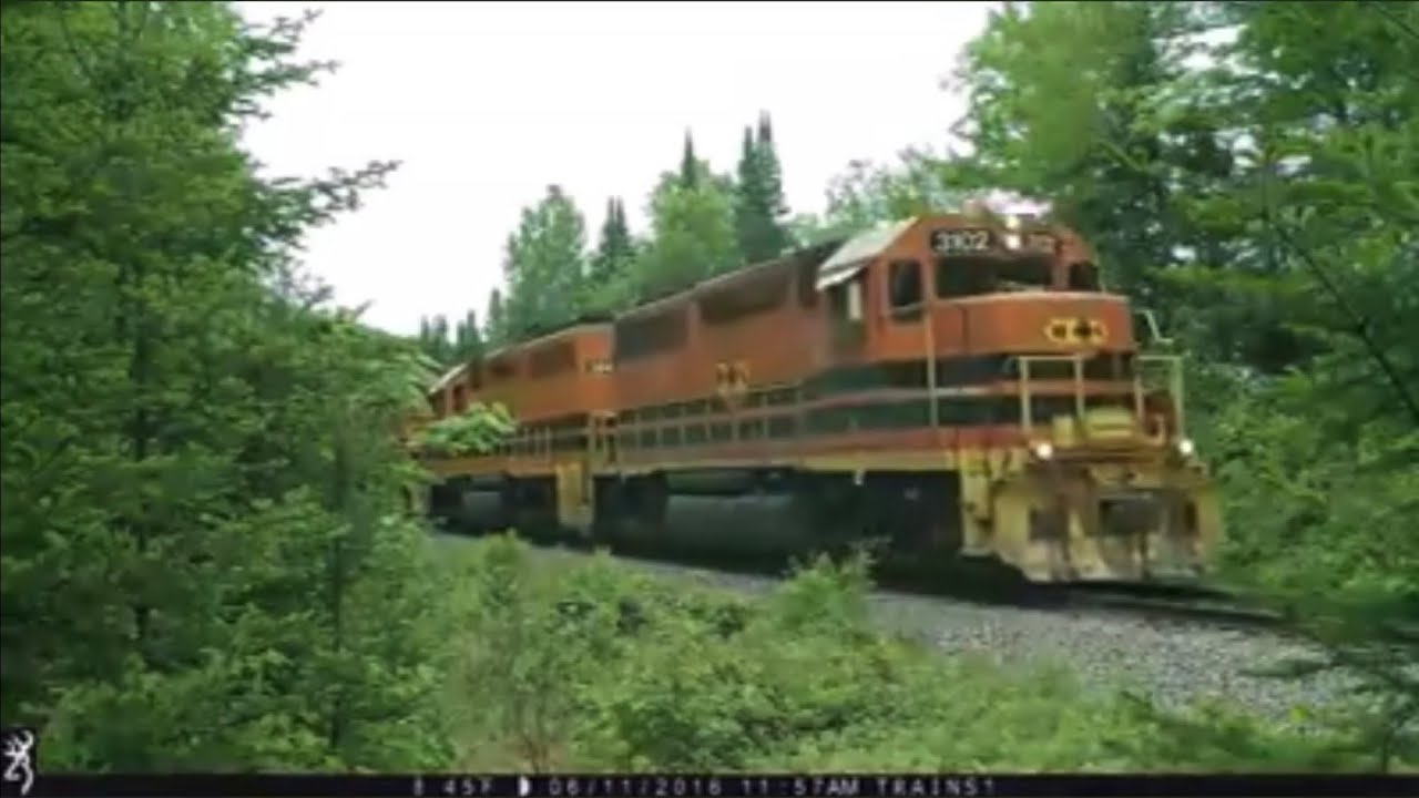 Trail cam footage of Trains & Moose 6 year’s ago - YouTube