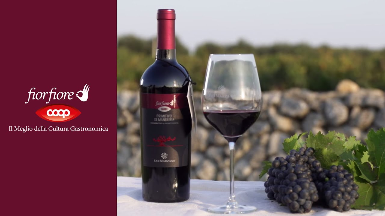 Primitivo di Manduria - Cantine San Marzano | fior fiore Coop - YouTube