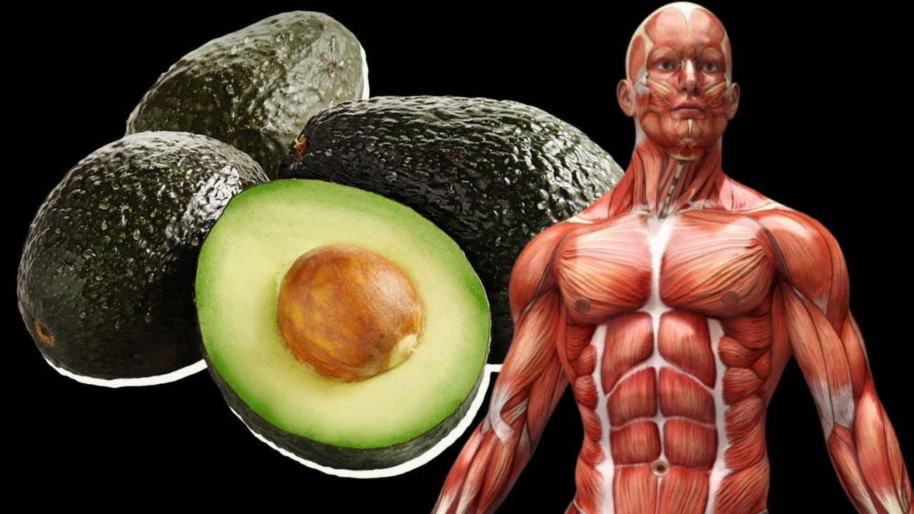 What Happens to Your Body When You Eat an Avocado a Day - YouTube