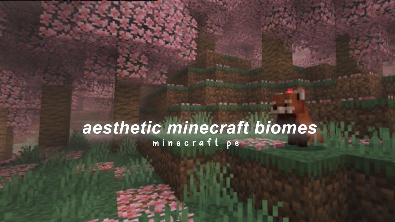 𝙖𝙚𝙨𝙩𝙝𝙚𝙩𝙞𝙘 𝙢𝙞𝙣𝙚𝙘𝙧𝙖𝙛𝙩 𝙗𝙞𝙤𝙢𝙚𝙨♡ ( 1.16.200) mcpe - YouTube