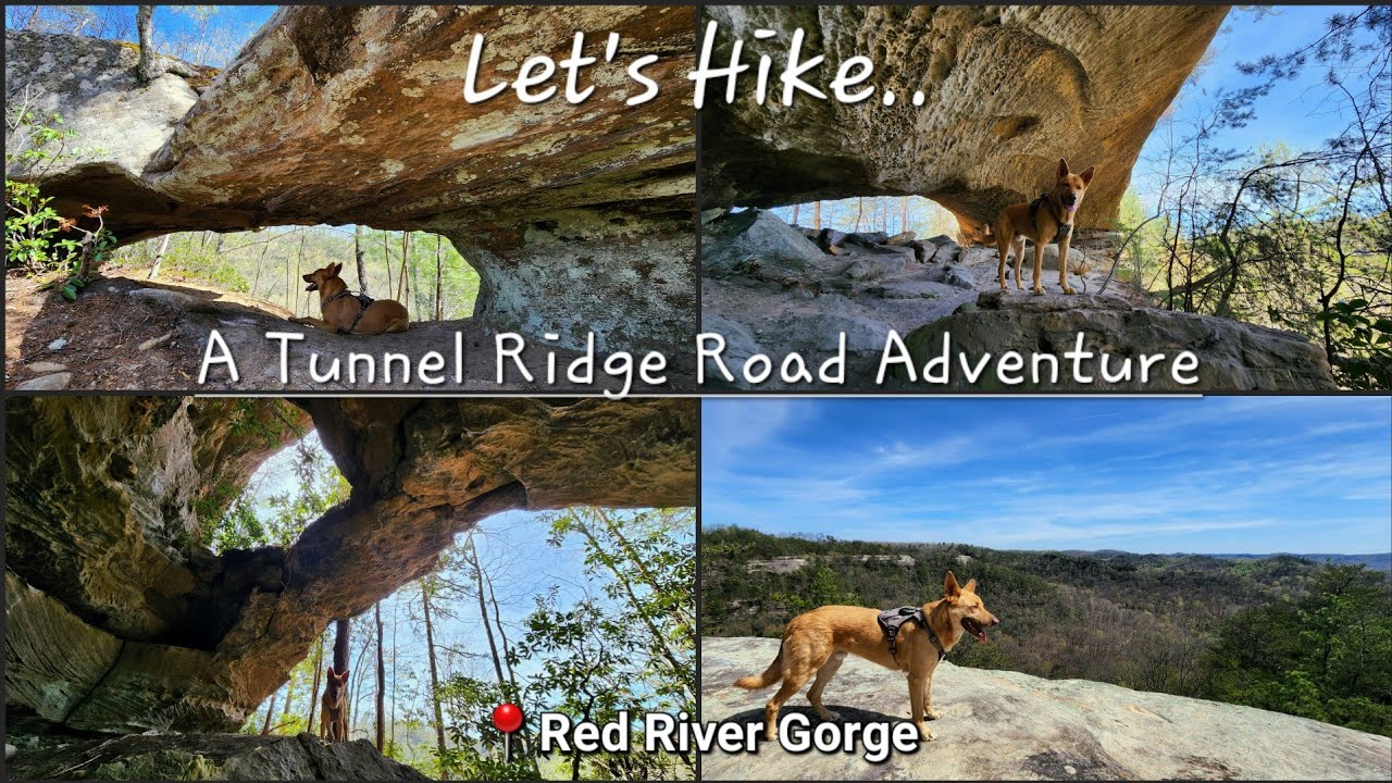Arch of Triumph, Star Gap Arch & Skyview Arch - Red River Gorge ...