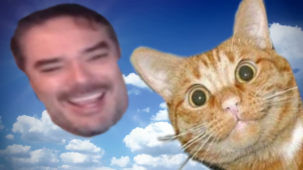 Jay The Cat - YouTube