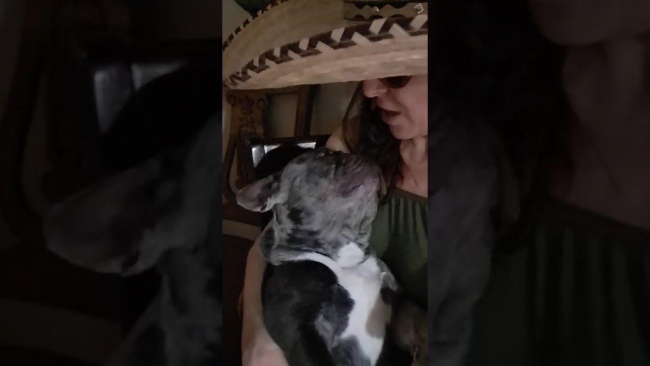 Finca Sobre Ruedas is live! - YouTube