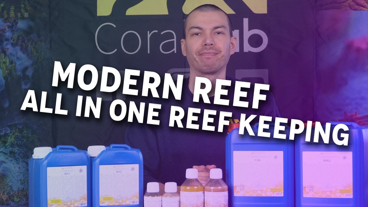 Modern Reef All In One Reef Keeping System - YouTube