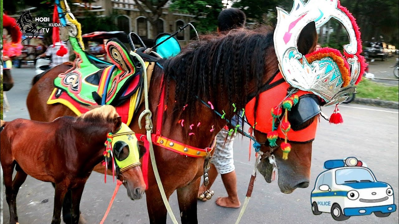 Kuda Topeng Merah Nunggu Penumpang| kuda | Naik Kuda | Kuda Berlari ...