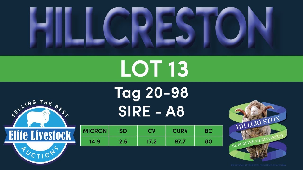 LOT 13 11TH NOVEMBER 2022 - YouTube