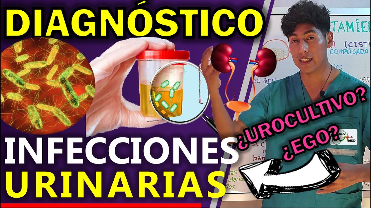 INFECCIÓN URINARIA DIAGNÓSTICO | GuiaMed - YouTube