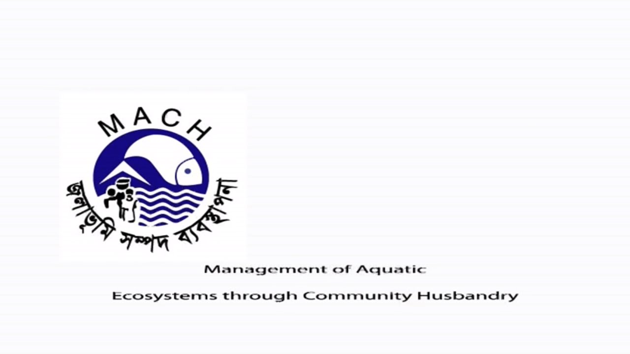 USAID's MACH Project: A case study - YouTube