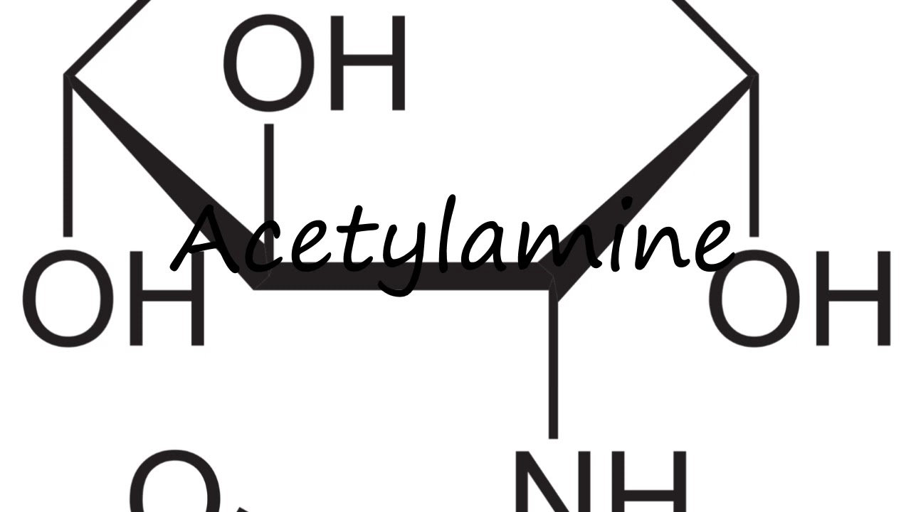 How to Pronounce Acetylamine? - YouTube