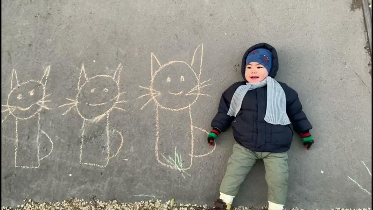 #3кота - YouTube