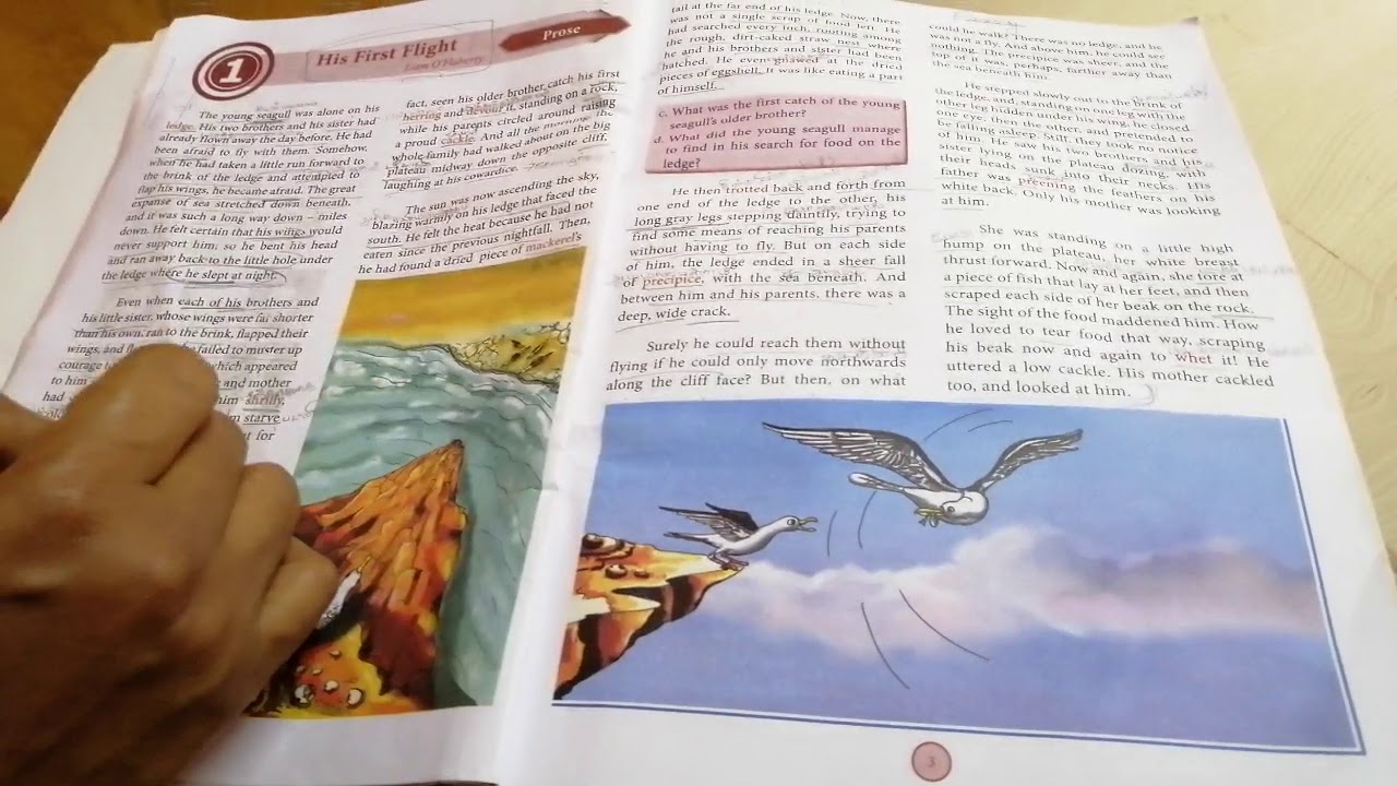 10th class ENGLISH 1ST PROSE HIS FIRST FLIGHT - YouTube