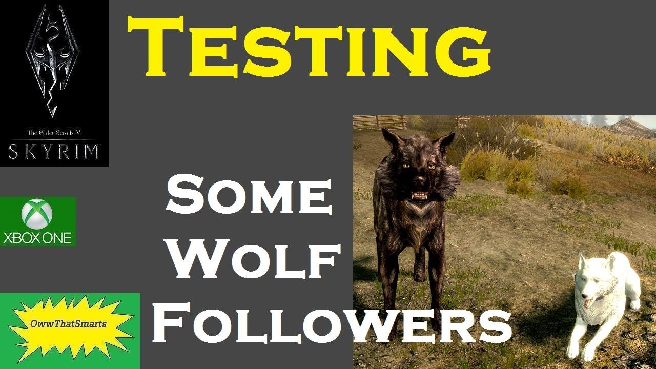Skyrim (mods) - Mercy - Testing Some Wolf Followers - YouTube