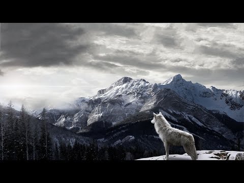 LOS MONTES DEL LOBO Grandes documentales Documental 2017 - YouTube
