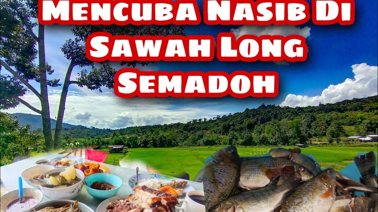 Memancing Di Sawah//Long Semadoh//Mencuba Nasib - YouTube