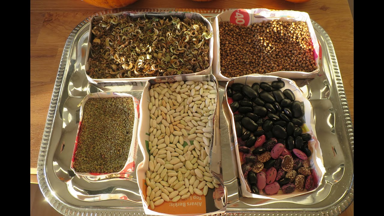 Коробочка своими руками для сушки семян // Box for seeds drying - YouTube