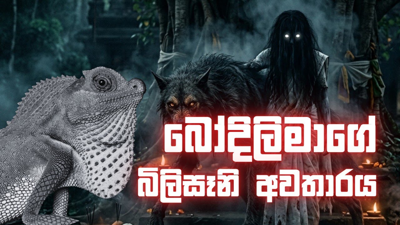 බෝදිලිමා සහ බිලිසෑනි ඇත්තටම ඉන්නවද? | The Mystery of Bodilima ...