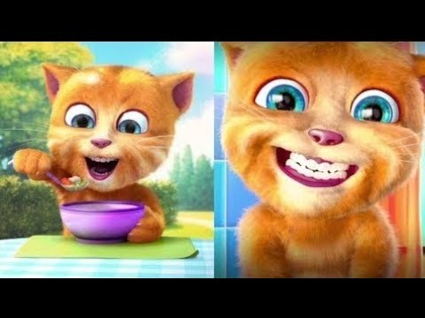 talking ginger 2 # brushing teeth # white teeth ginger # eating time ...
