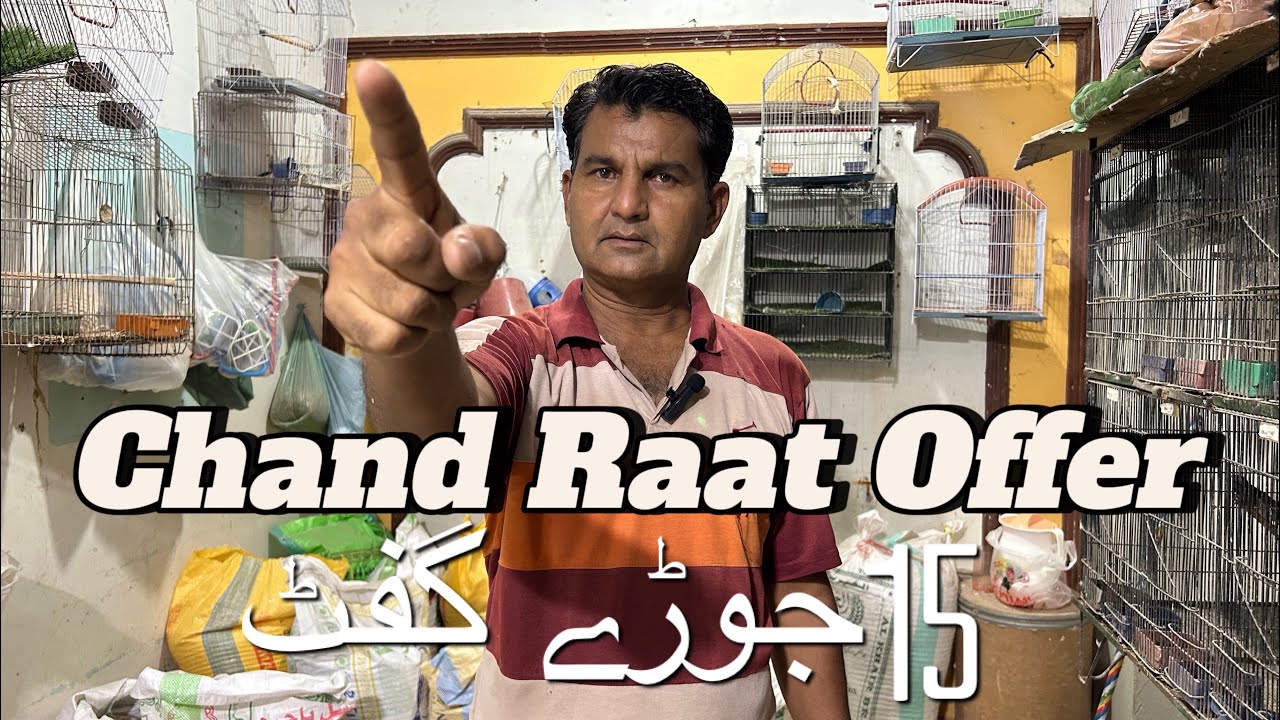 Chand Raat Special Offer | Parinda Party & Others | Shafiq Bhai | 05-06 ...