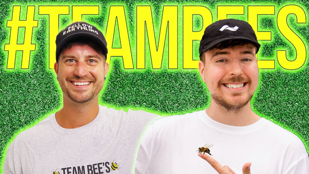 MrBeast Told Me to Start TeamBees #teambees - YouTube