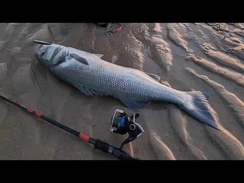Fish of a Lifetime! 12lb Plus Double figure Lure caught Bass! - YouTube